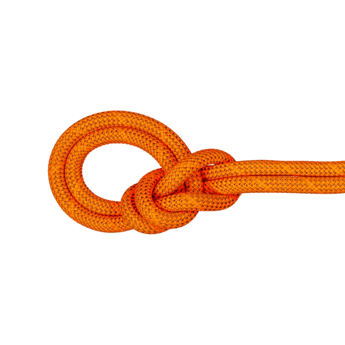 Lina CRAG DRY ROPE 9.8 / 60 m | wspinaczka \ liny, taśmy i repy \ liny ...