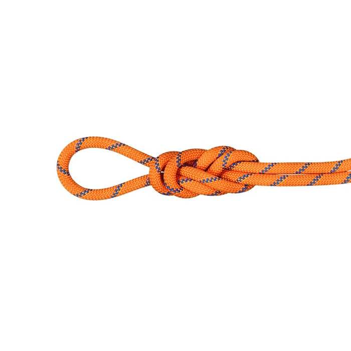 Lina ALPINE SENDER DRY ROPE 9.0 / 60 m sunrise-ice | wspinaczka \ liny ...